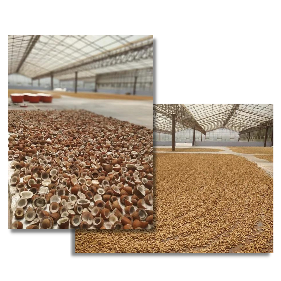 Harappa Cold pressed Groundnut oil